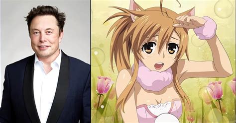 埃隆·马斯克（elon Musk）和他关于与 “猫女” 相似的性机器人的想法 Infobae