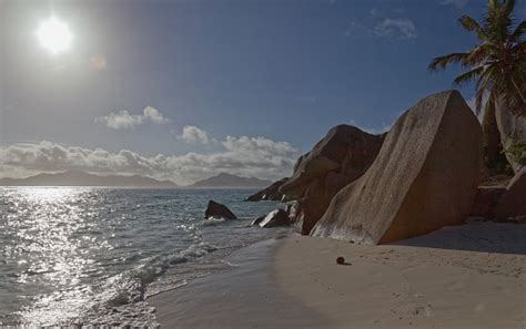 손바닥 화강암 바위와 열 대 바다 라 디 구에 섬에 열 대 화이트 비치 0명에 대한 스톡 사진 및 기타 이미지 0명 라 디게 섬 모래 Istock
