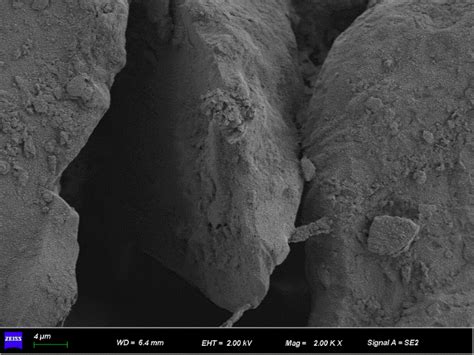 Element Distribution Map Under Different Cementation Ph 342 Download Scientific Diagram