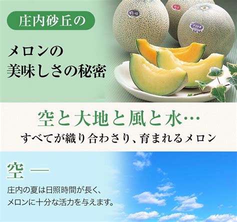 つる付き鶴姫セット【庄内砂丘メロン】 【山形・ja鶴岡公式】だだちゃ豆、庄内砂丘メロン、お米のお取り寄せ通販なら “だだぱら”