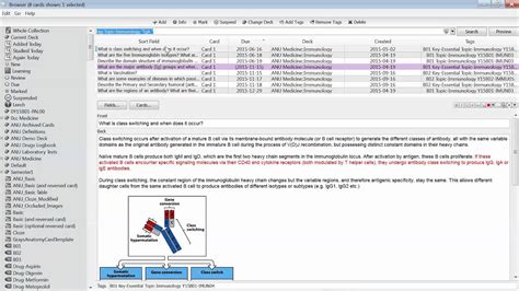 importing from pdfs into anki using buboflash r anki 41 off