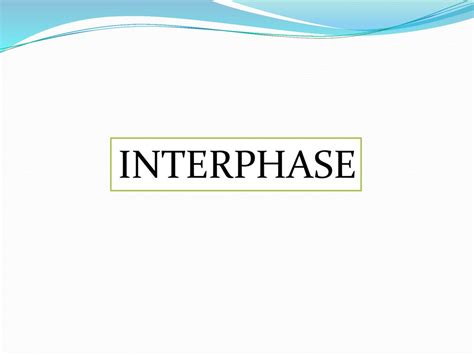 The University Of Jordan Ppt Download