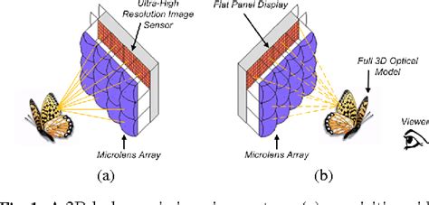 Efficient Coding Hypothesis Semantic Scholar