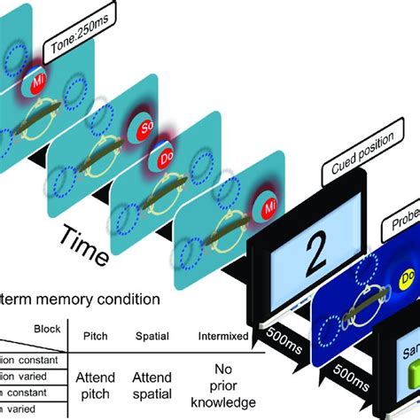 Schematic Representation Of The Pitch Location Stimulus Sequence Download Scientific Diagram