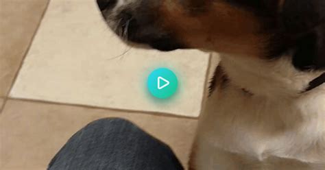 The Thermometer Goes Where  On Imgur