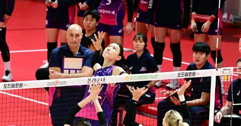 적수가 없다 흥국생명 적지서 페퍼 잡고 창단 첫 개막 11연승