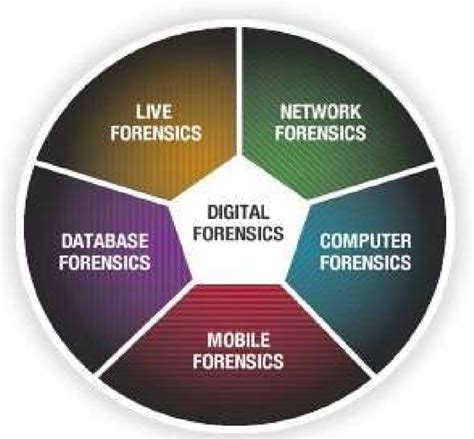 Types Of Forensics Source Download Scientific Diagram