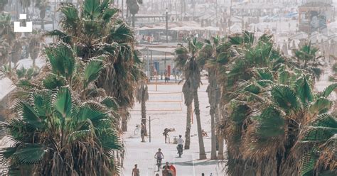 자전거를 타는 사람들의 그룹 사진 Unsplash의 무료 자전거 이미지