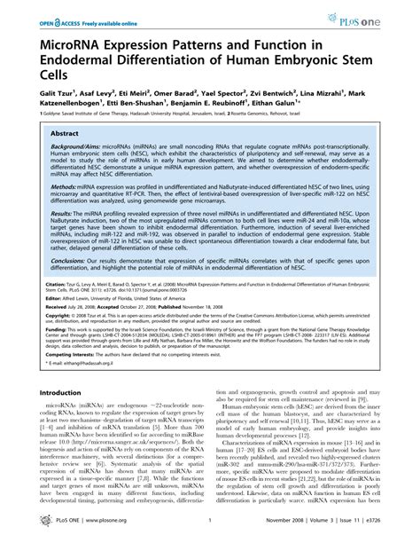 Pdf Microrna Expression Patterns And Function In Endodermal