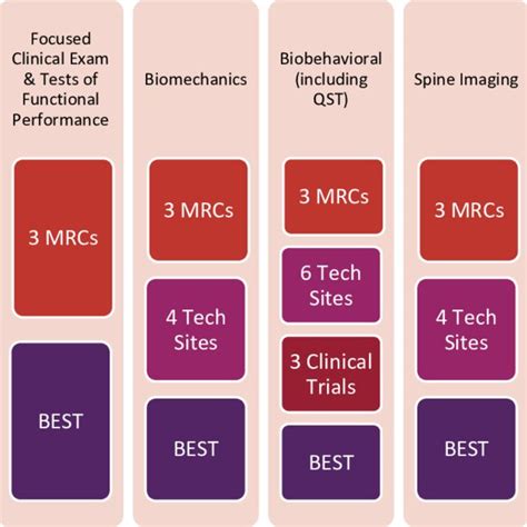 Summary Of Bacpac Research Units Contributing To Each Data Domain Download Scientific Diagram
