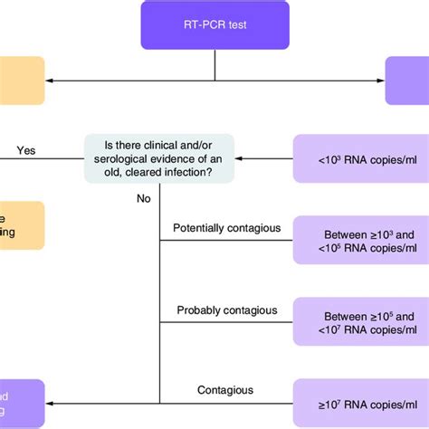 Algorithm For The Management Of Patient Tested By Reverse Transcription Download Scientific