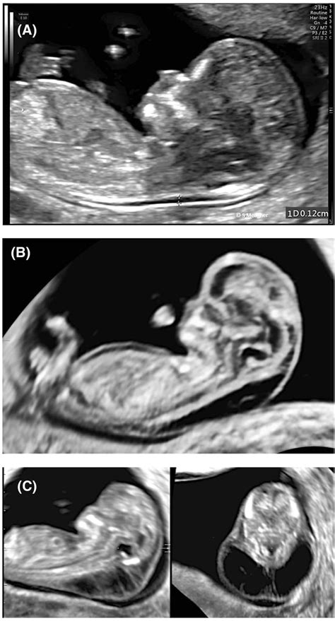 Ургийн хөгжлийн хэт Алтан Наран эмэгтэйчүүдийн эмнэлэг Facebook