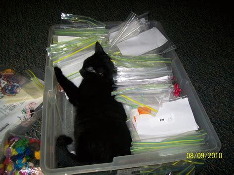 Cross Stitch Bibs New Project And Floss Organization