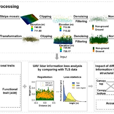 An Illustration Of Uav Lidar Data And Tls Data Preprocessing