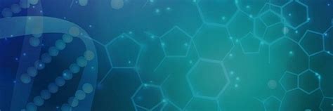 Illuminating Metabolome Diversity With Computational Metabolomics