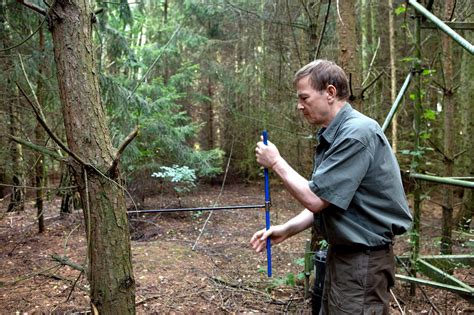 Climate Change How Trees Adapt NAWA
