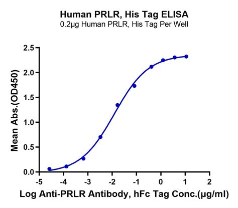 Human Prlr Protein Plr Hm101 Kactus