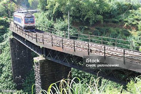 디젤 기관차와 파란색 객차가 있는 여객 열차는 스리랑카 섬의 푸른 정글 시골에서 강을 가로지르는 철도 다리에 있습니다 0명에 대한 스톡 사진 및 기타 이미지 Istock