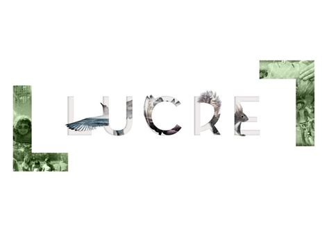 Lilly Wright Posted On Linkedin