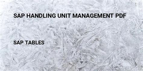 Sap Handling Unit Management Pdf Table In Sap