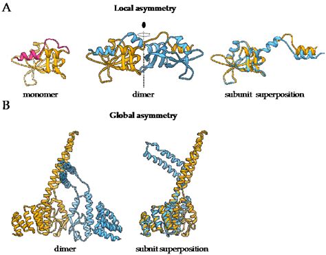 Monomer Structure