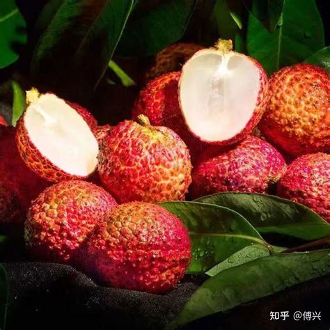 吃荔枝不吐荔枝核！无核荔枝你吃过了吗？ 知乎