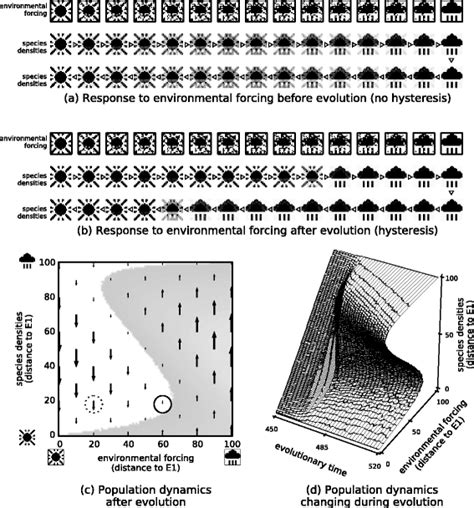 Response To Environmental Forcing Before And After Evolution In Varying Download Scientific