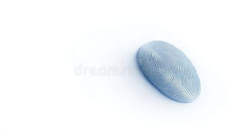 Fingerprint Patterns Common Types Identification And Their Role In Forensic Science Stock