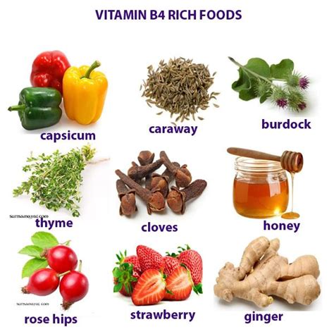 Vitamin B4 Deficiency Diseases