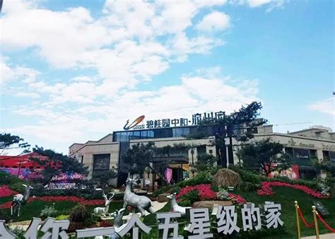 武威碧桂园 中和凉州府今日人山人海