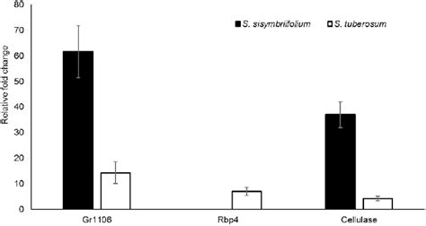 Quantitative Pcr Qrt Pcr Validation Of Rna Sequencing Rnaseq Data Download Scientific