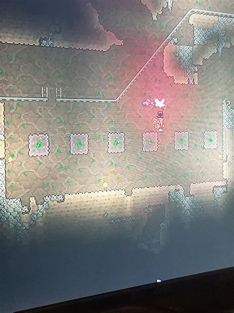 Why Doesnt My Chlorophyte Farm Seem To Work Rterraria