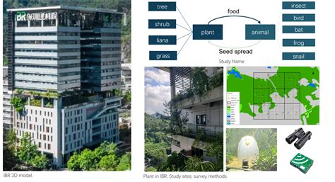 Building Biodiversity Future Ecologies Group