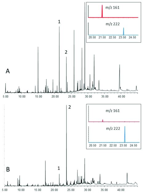 pyrograms from py gc ms analyses of elaeagia samples a e utilis