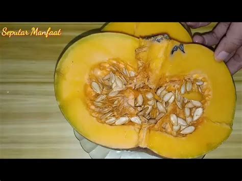 Manfaat Biji Labu Untuk Pria Yang Perlu Anda Ketahui