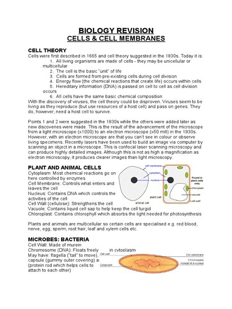 Wjec Gcse Biology Cells And Cell Membranes Pdf Meiosis Cell Biology