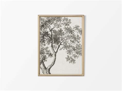 Apple Tree Trove Prints