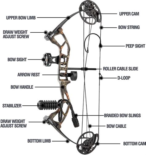 The Anatomy Of A Compound Bow String A Comprehensive Diagram