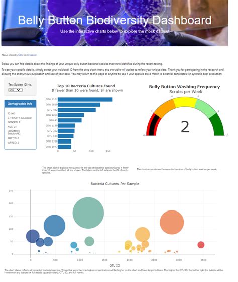 Github Js816plotlydeployment Project Building Interactive Web Dashboard On Mock Dataset