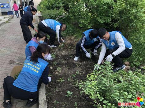 绿美延吉 侨界在行动 延吉新闻网