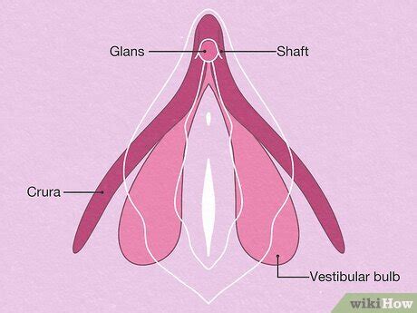 Clitoral Stimulation Guide Best Toys Techniques And More