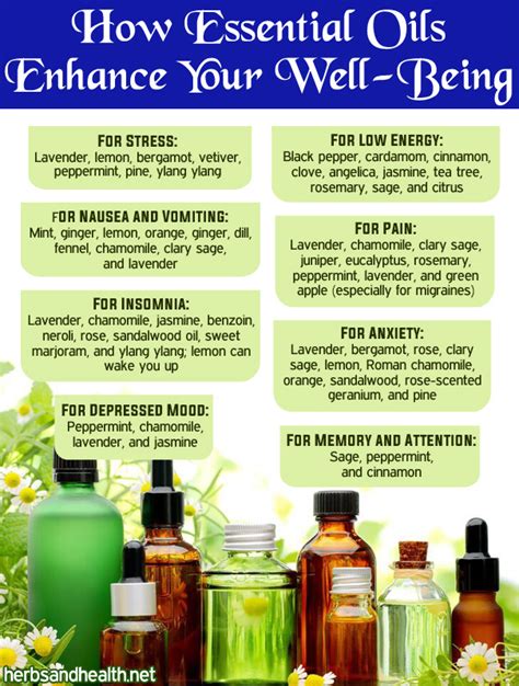 How Essential Oils Enhance Your Well Being