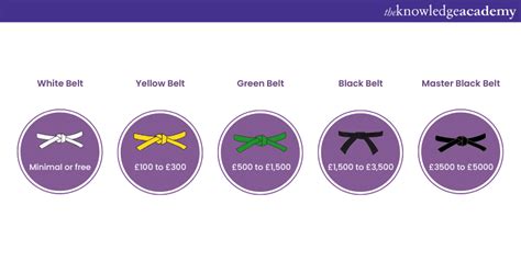 Six Sigma Certification Cost All You Need To Know