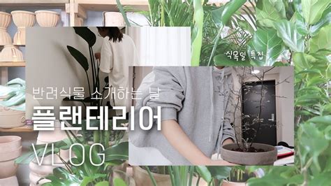 식목일 기념 플랜테리어 🌿 식물로 인테리어 집꾸미기 브이로그 Youtube