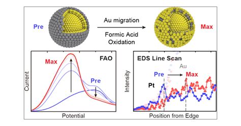 Microstructural Evolution Of Au Pt Core Shell Nanoparticles Under Electrochemical Polarization