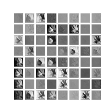 A Dive Into GhostNet With PyTorch And TensorFlow Paperspace Blog
