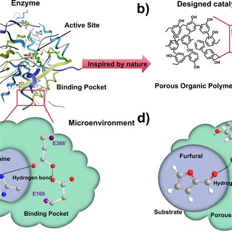 Hydrogen Bond Interaction Of The Substrate With Different Download Scientific Diagram