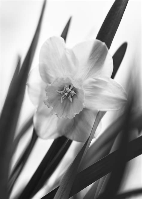 In Parallel Reflections On A World Shared