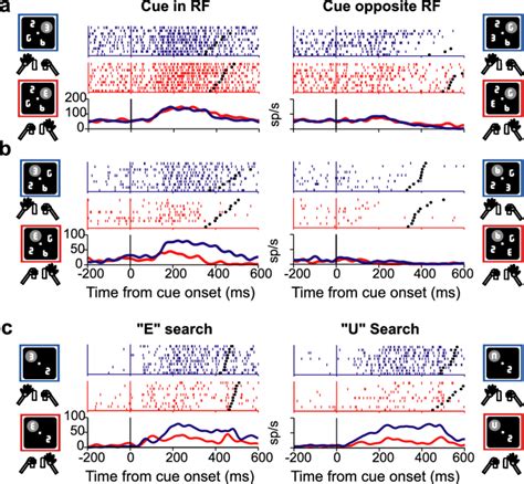 Representative Neurons A Neuron Selective Only For Cue Location Download Scientific Diagram