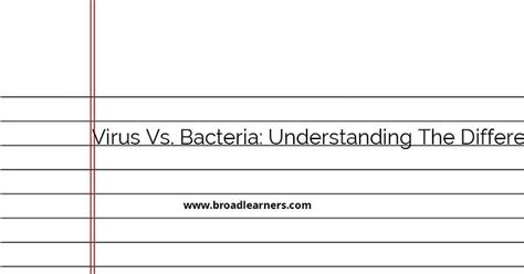 Virus Vs Bacteria Understanding The Differences Grammar Broadlearners
